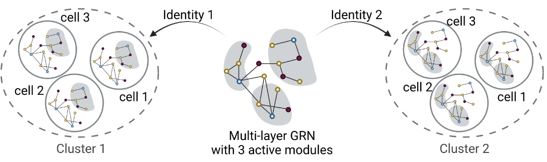 LncRNA expression during cell differentiation