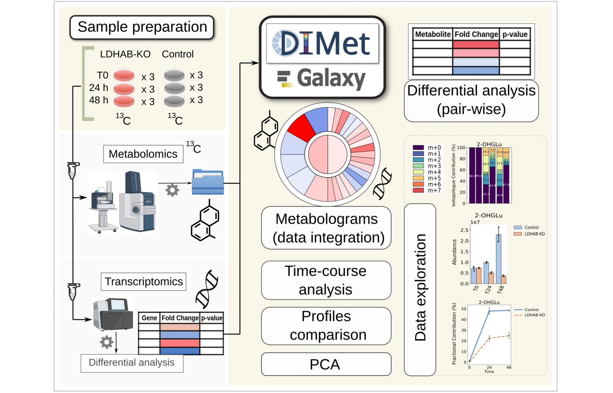Labeled Metabolomics data analysis with DIMet